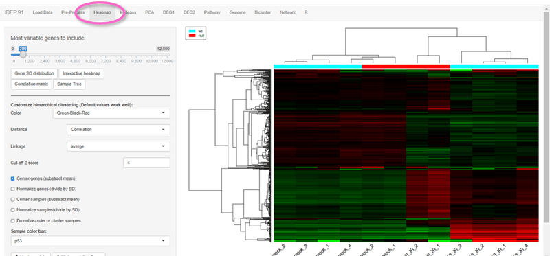 RNA-seq解析をウェブブラウザ上でできる！〜iDEPを使ってみた｜eiko_programming