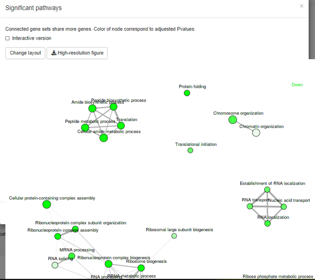 RNA-seq解析をウェブブラウザ上でできる！〜iDEPを使ってみた｜eiko_programming