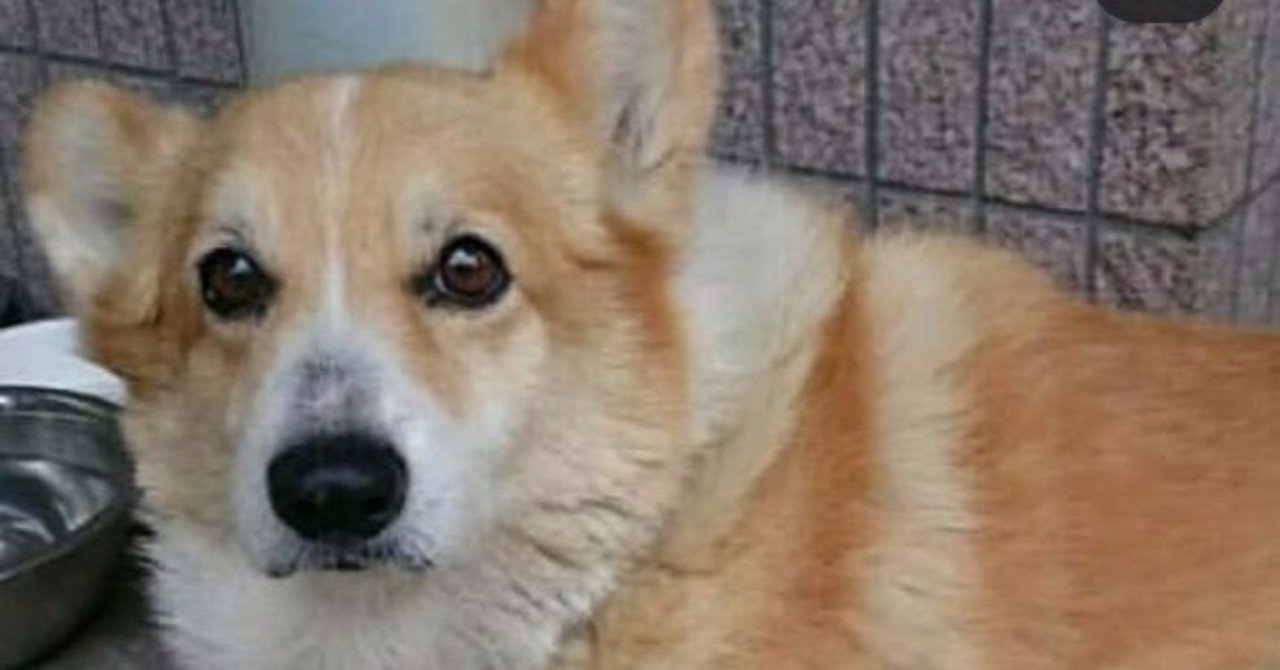 今日も1日スタート｜MUSASHI.634