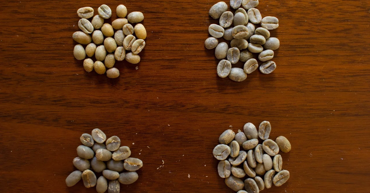 colon coffee roasters｜note