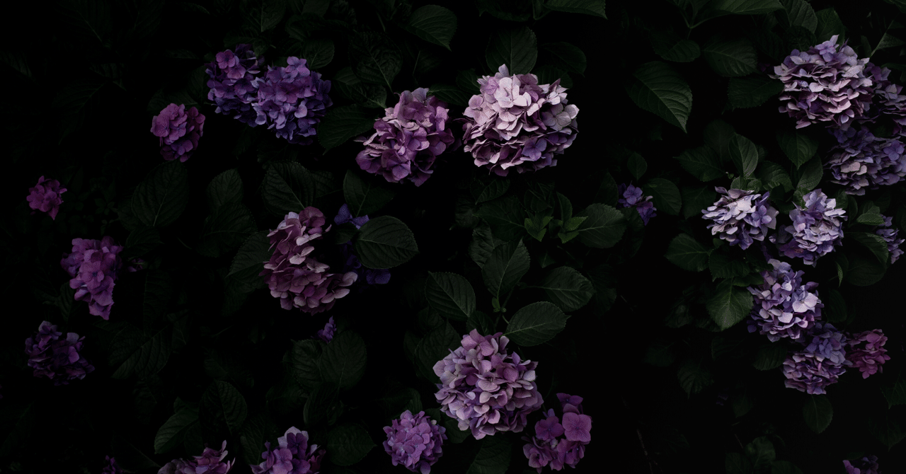 不在の感性｜tomot｜note