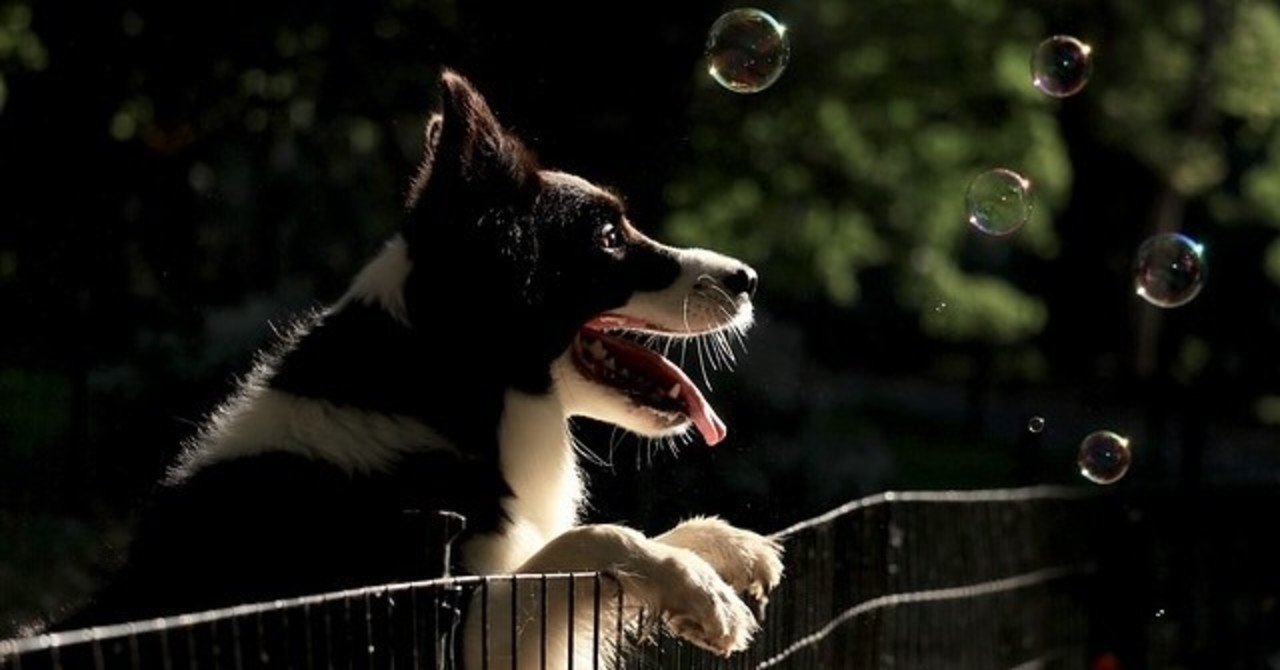 望む未来の現実化のコツ｜asumi｜note