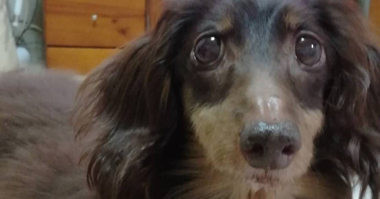 坂元のつぶやき｜Yusei Sakamoto｜note