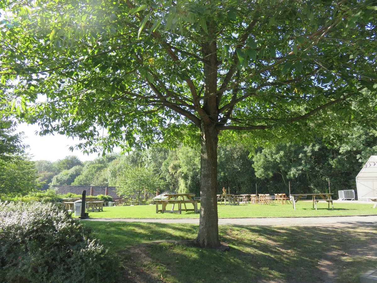 ビル・ゲイツが行うThink Weekを体験した感想｜Aoneko Lab