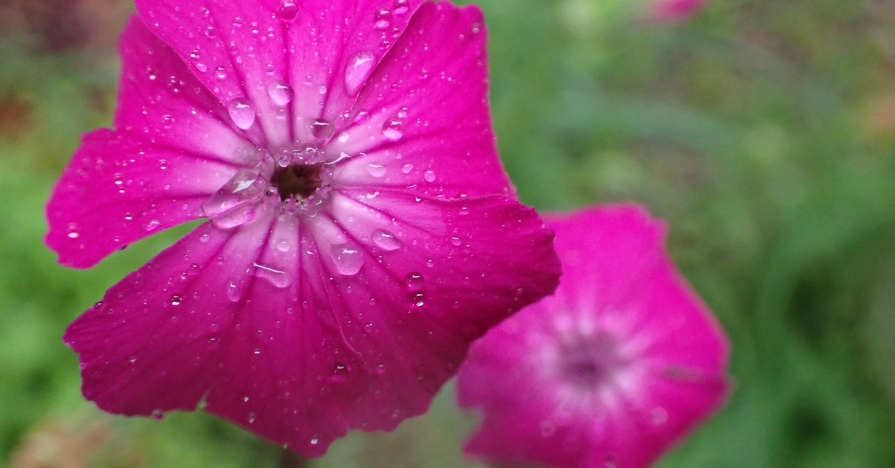 黒歴史？｜Miu｜note