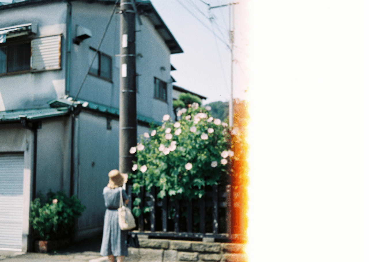 Plofile.｜Rinco Koyama｜note