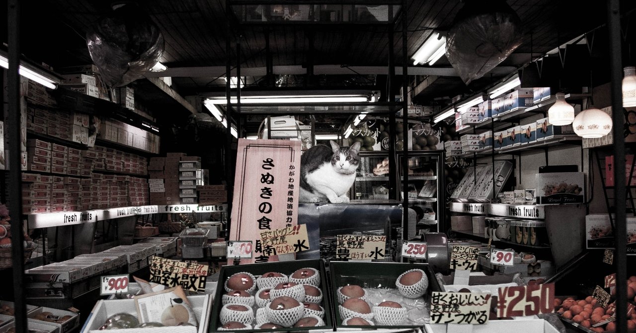 PANK PONK magazine vol.12 ペットの名前 後編｜浜吉竜一