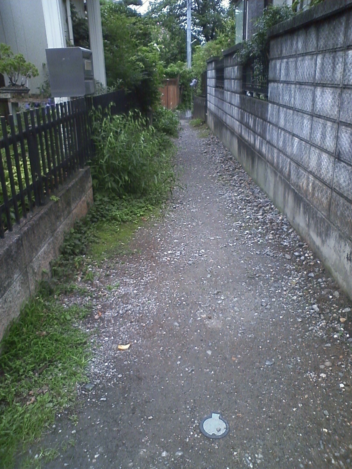 路地 Alley｜安藤優 Masaru Ando