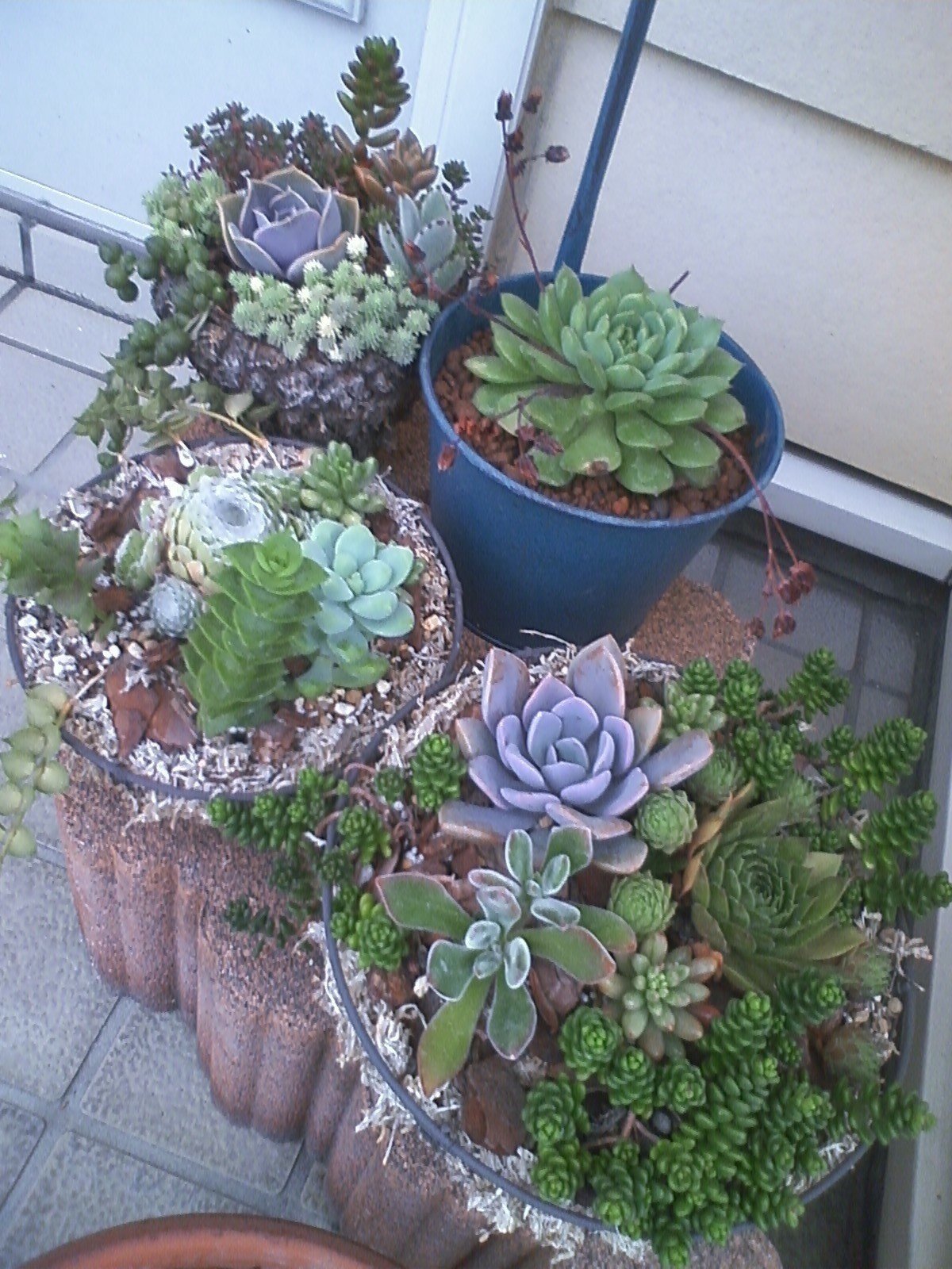 朧月 Hazymoon｜安藤優 Masaru Ando