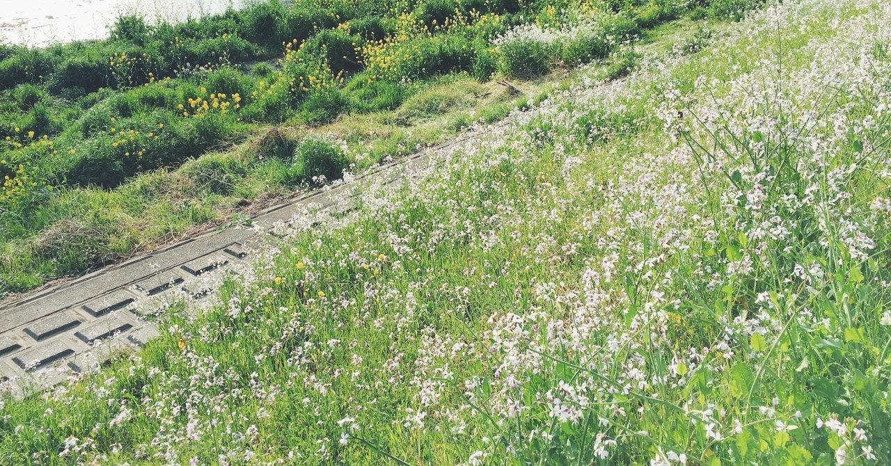 【小説】 愛のギロチン 10｜rou kodama