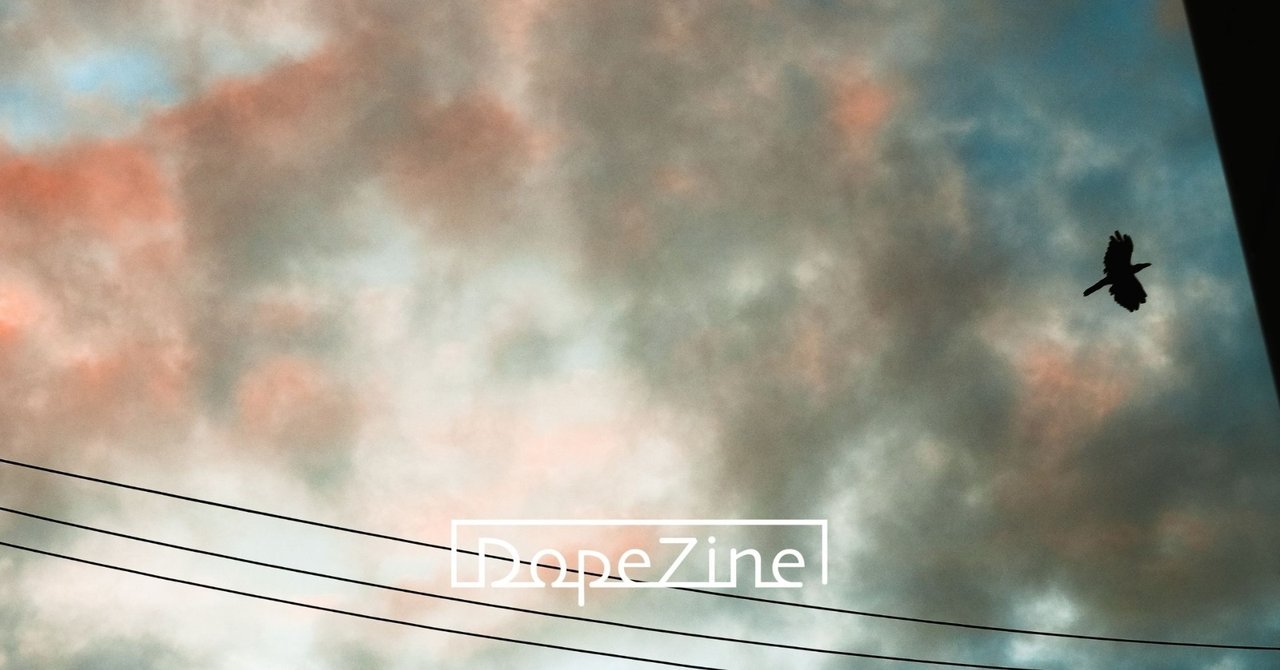 メンバー同士の交流の要であるラボ会を紹介しよう｜DopeZine