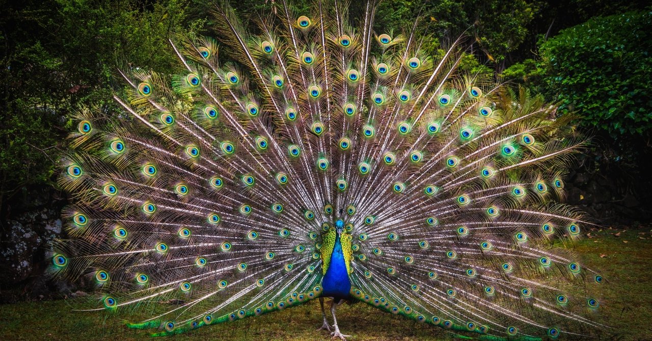 坂元が恐れていること｜Yusei Sakamoto｜note