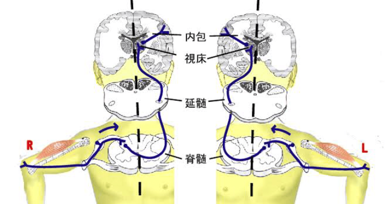 感覚は漠然｜Jien'sマガジン