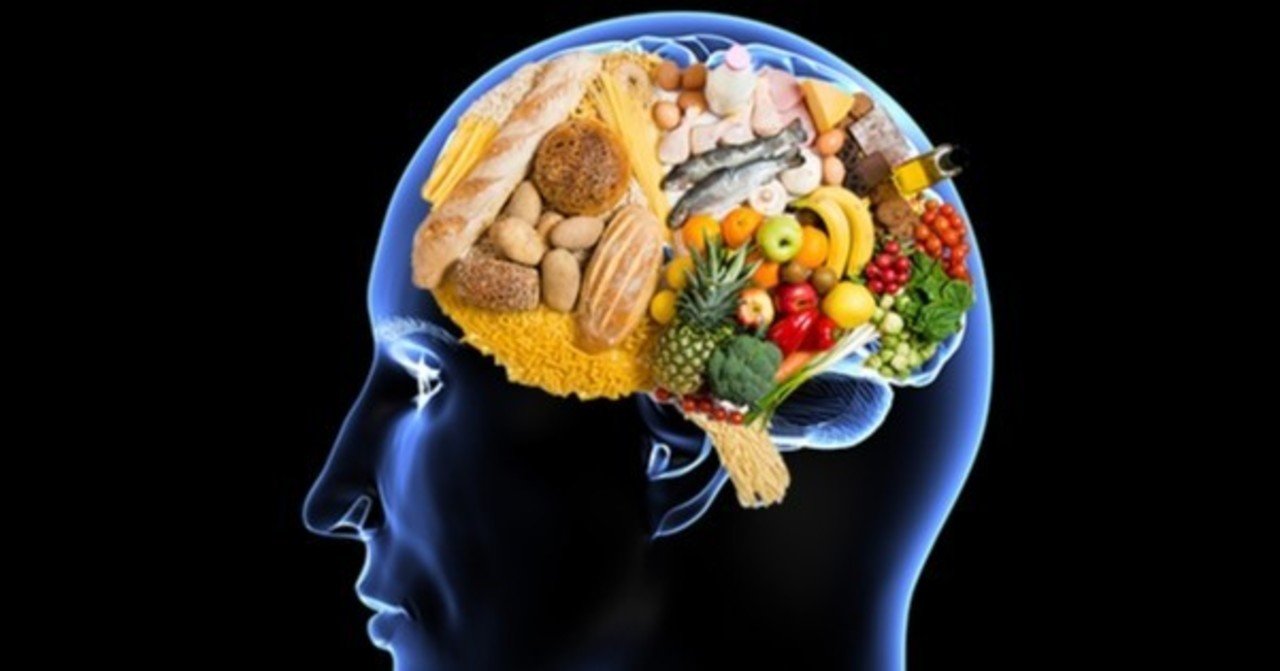 脂質脳科学のこれから｜仙台通信note (Sendaitribune)｜note