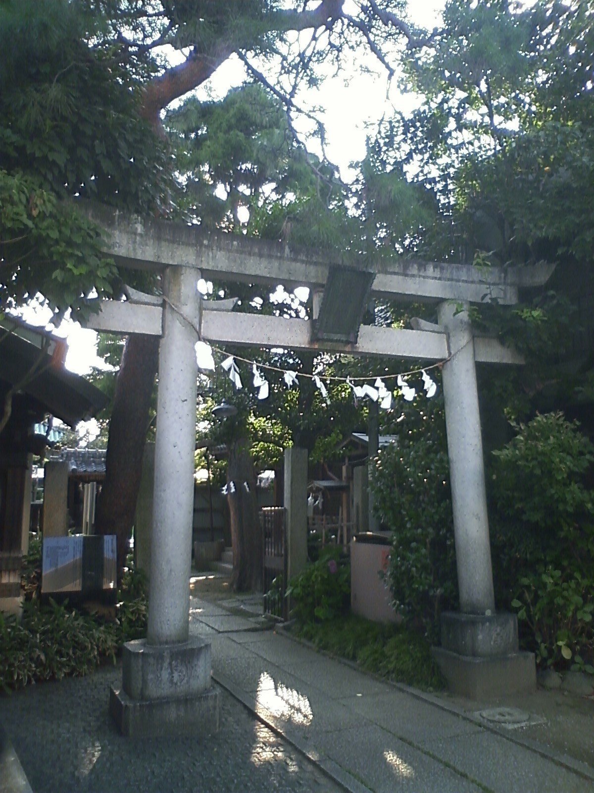 稲荷神社 Inari Shrine｜安藤優 Masaru Ando