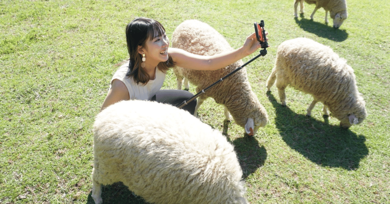 2020年｜Rika Nishimoto｜note