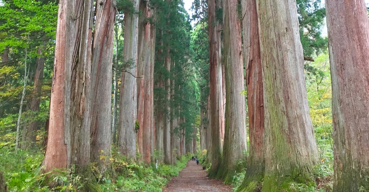 全力で逃げろ｜sk__ponko｜note