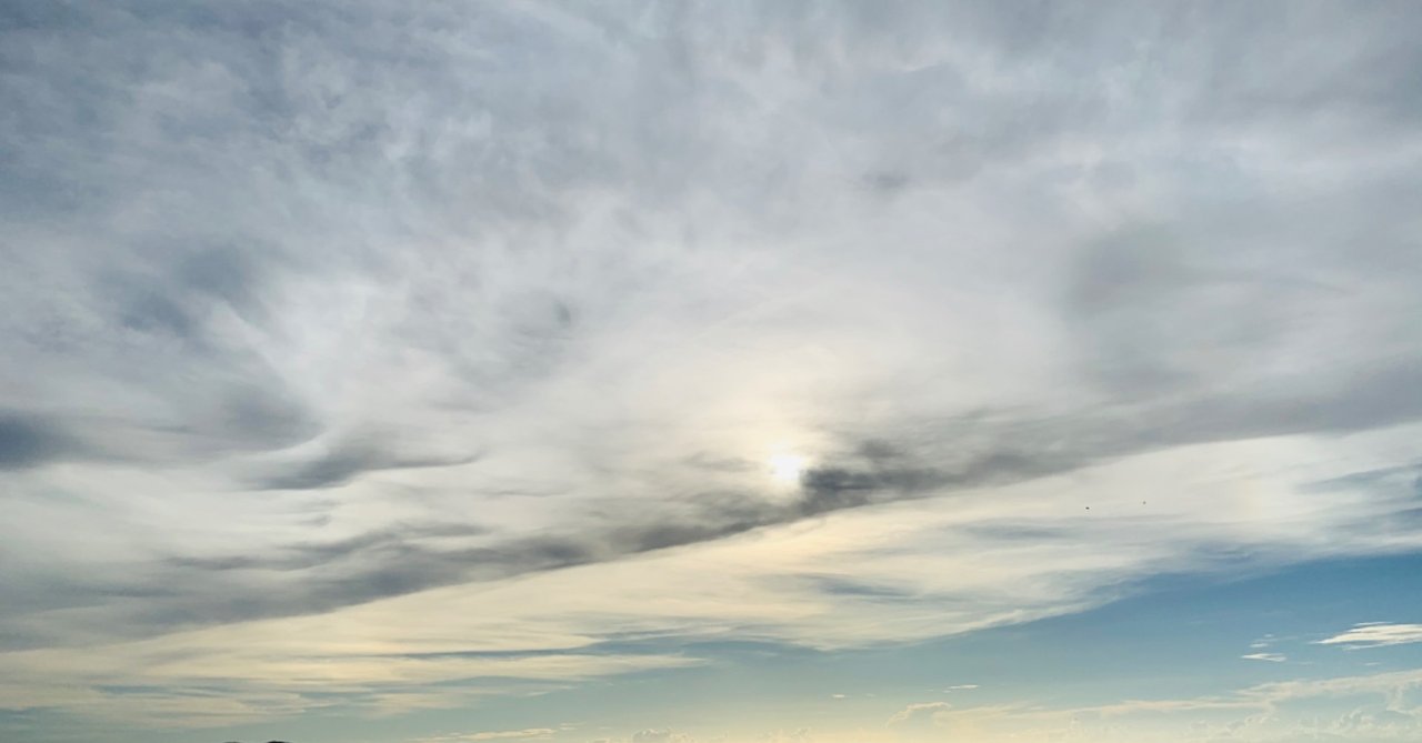 0923｜渡辺 佳菜子 / Kanako Watanabe