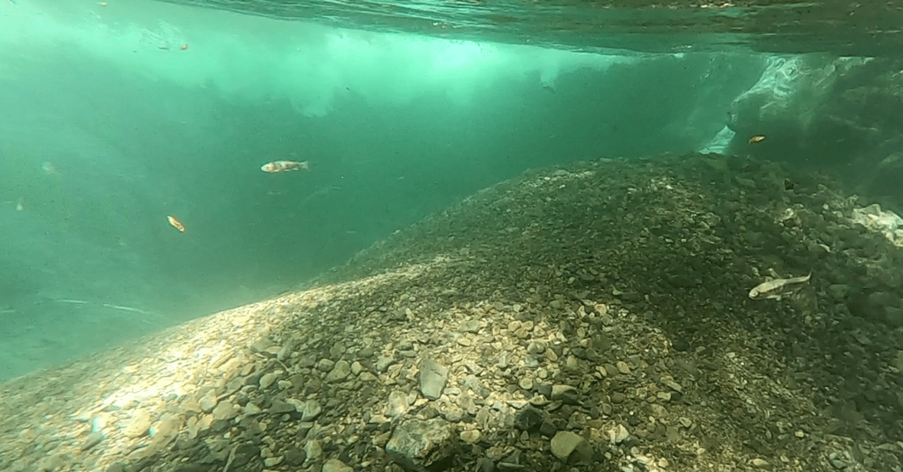 緑川本流沢登りに行ってきました！｜ラリーグラス