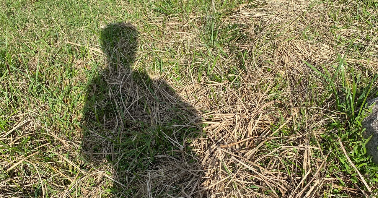 高性能な、この体を生かす｜nakano michiko