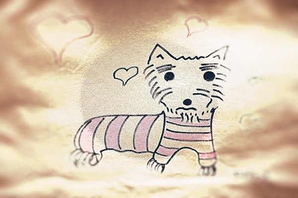 TAMA(CASCADE)｜note