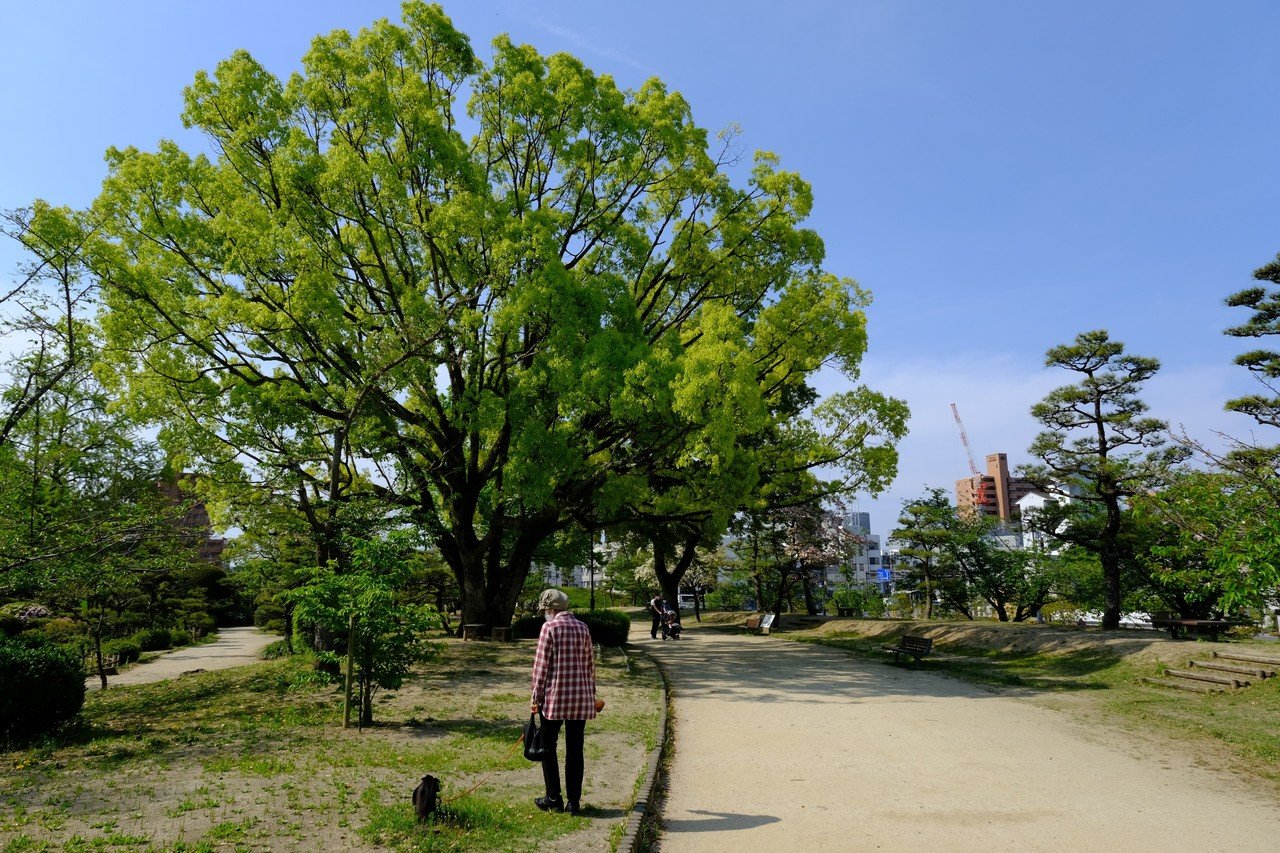 50代ですがnoteを始めます｜utsuno