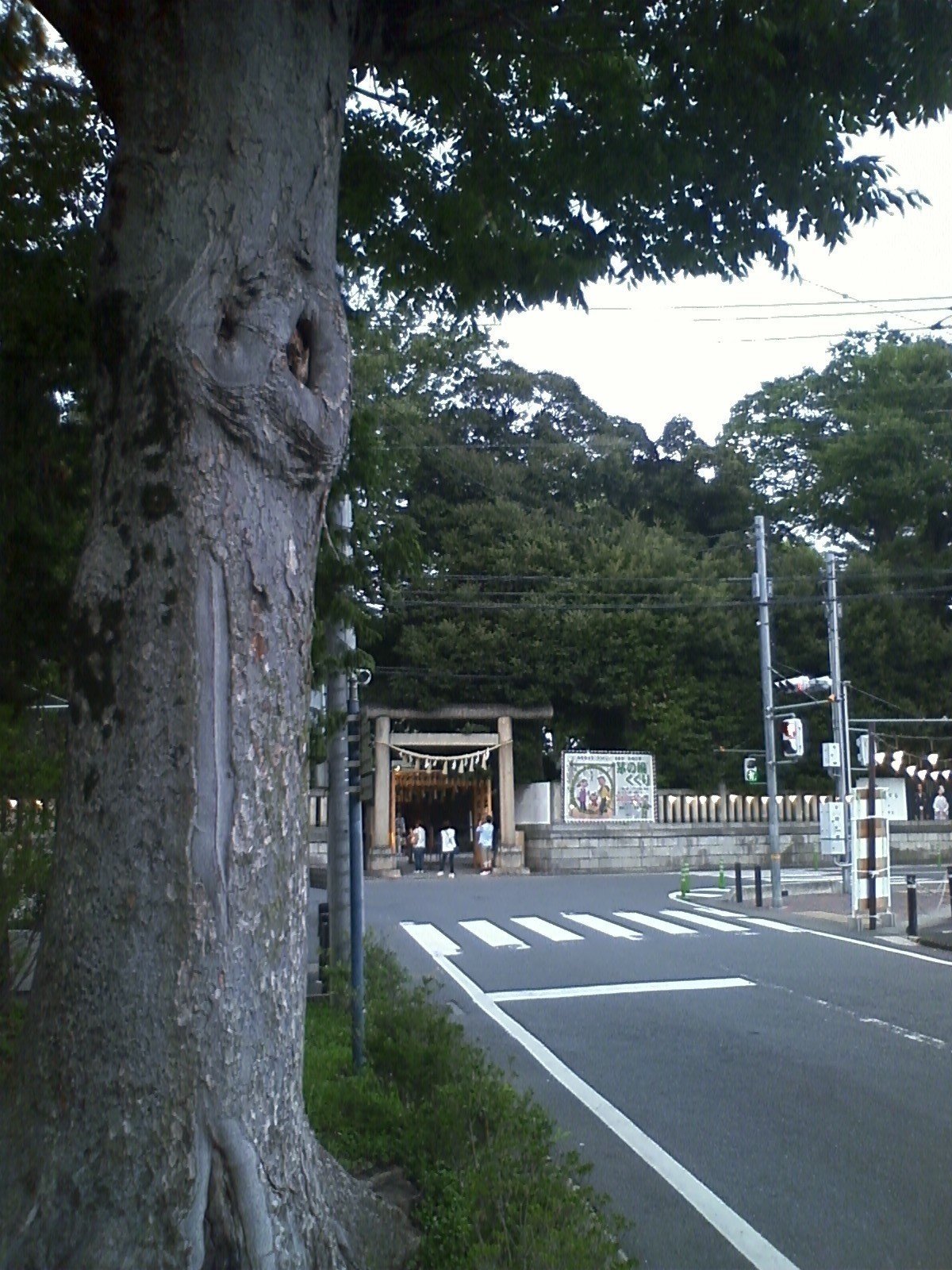 神社 Shrine｜安藤優 Masaru Ando