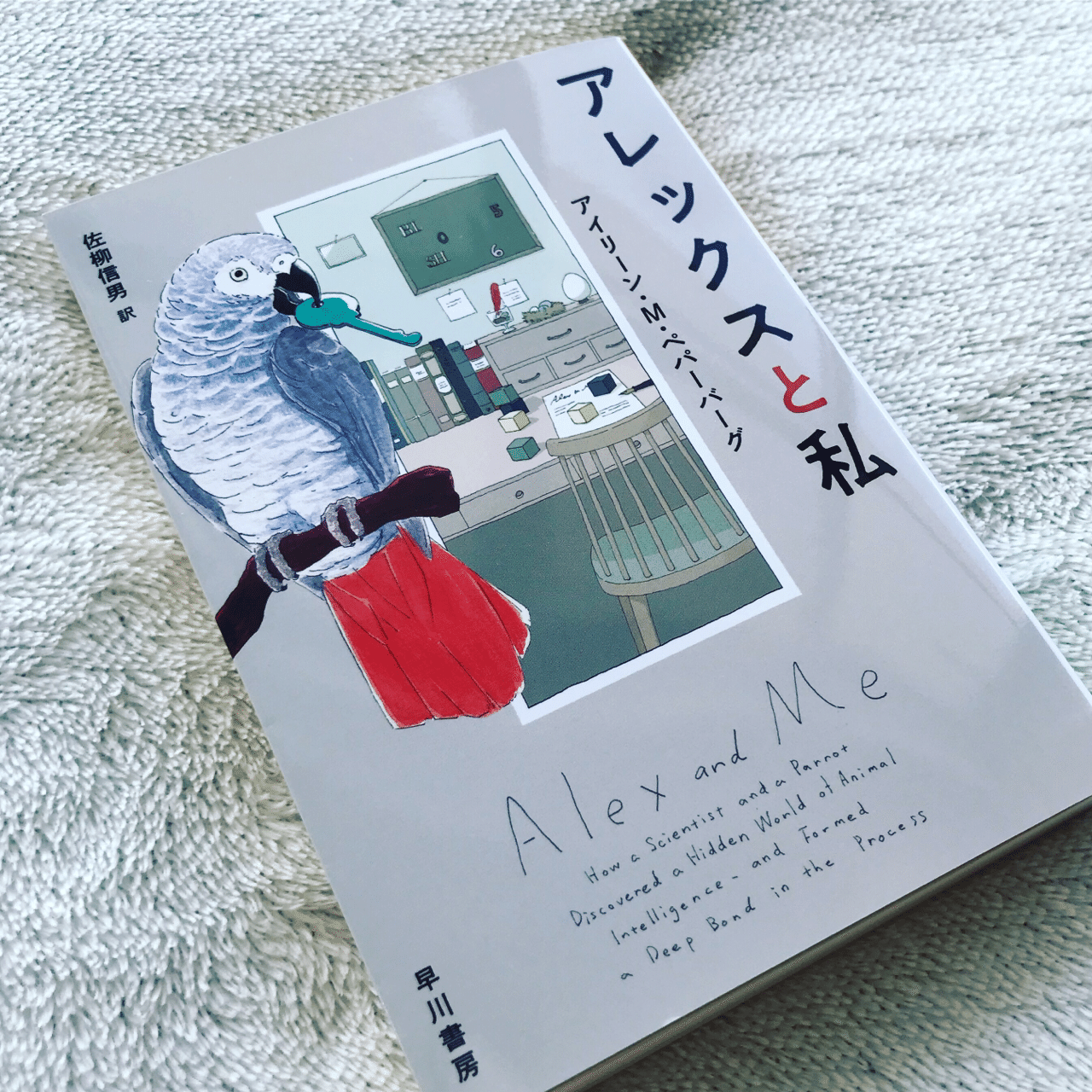 2020.10.02｜Mk_Hayashi