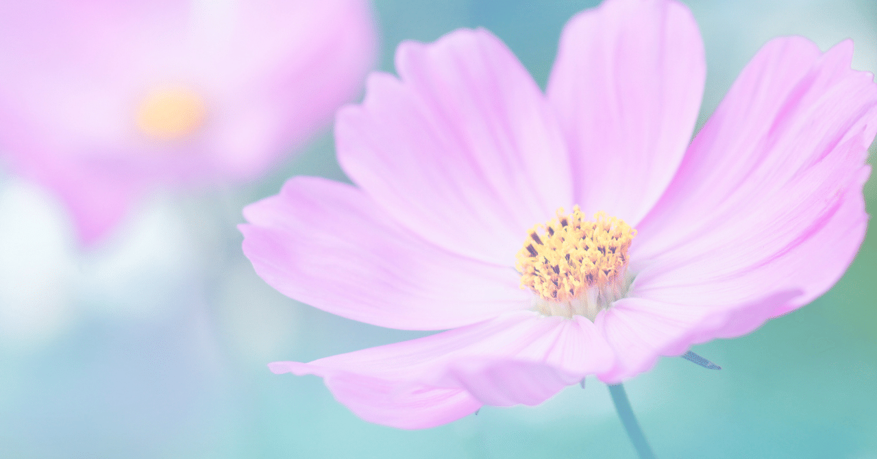 ご先祖様の護り？｜美鶴mitsuru'sessence