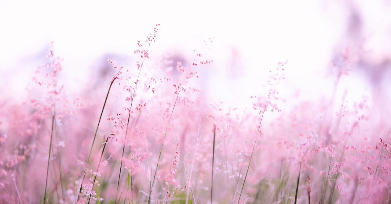 『とほかみえみため』アナログとデジタルを使って5ヵ月の今｜美鶴mitsuru'sessence