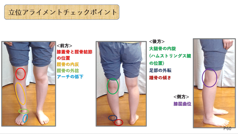 《膝関節 資料 全86スライド》｜上田浩司（理学療法士）