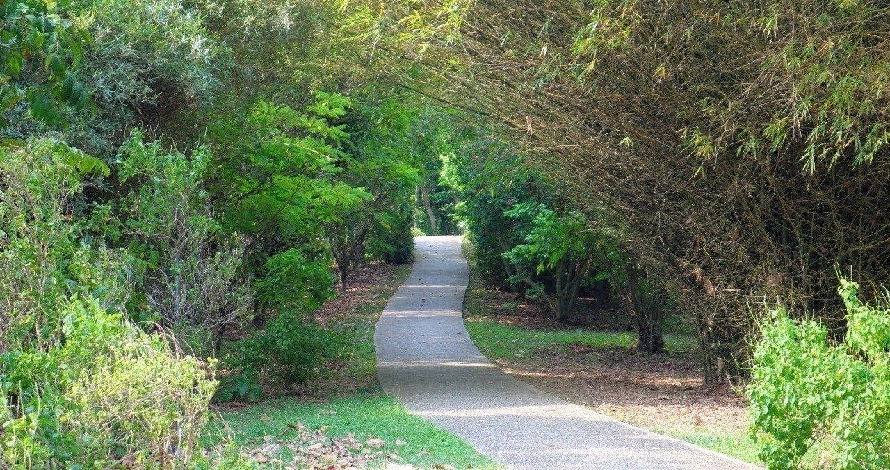 早稲田理系が語る、生産性を高める為には、生産性の低い別解について熟知しないといけないお話｜ミスター五十嵐｜note