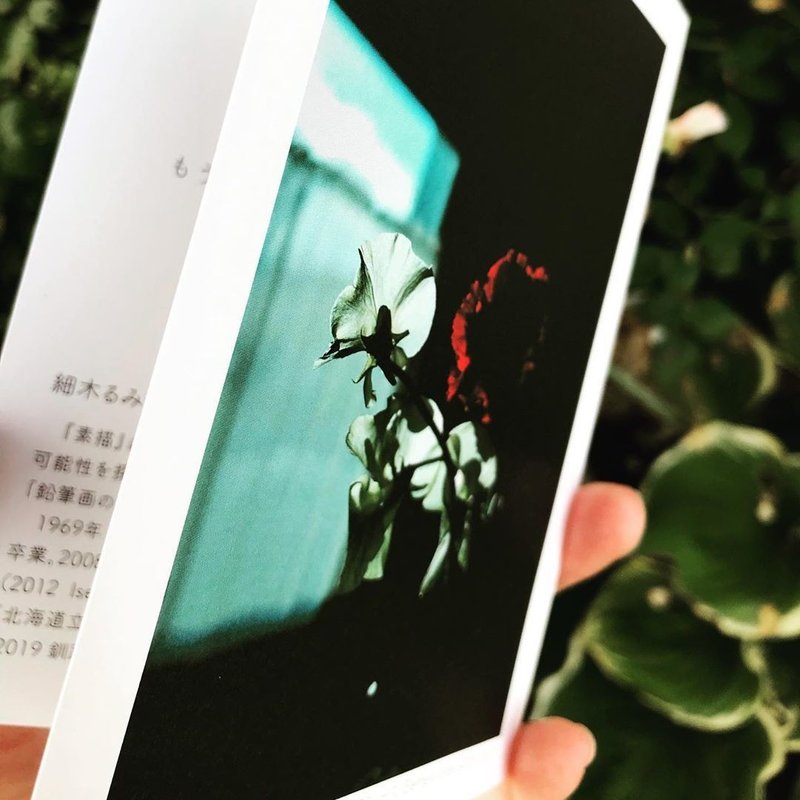 【個展のお知らせ】｜細木 るみ子 Hosoki Rumiko｜note