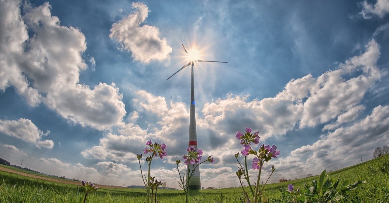 その風を私は信じる｜suzuco｜note