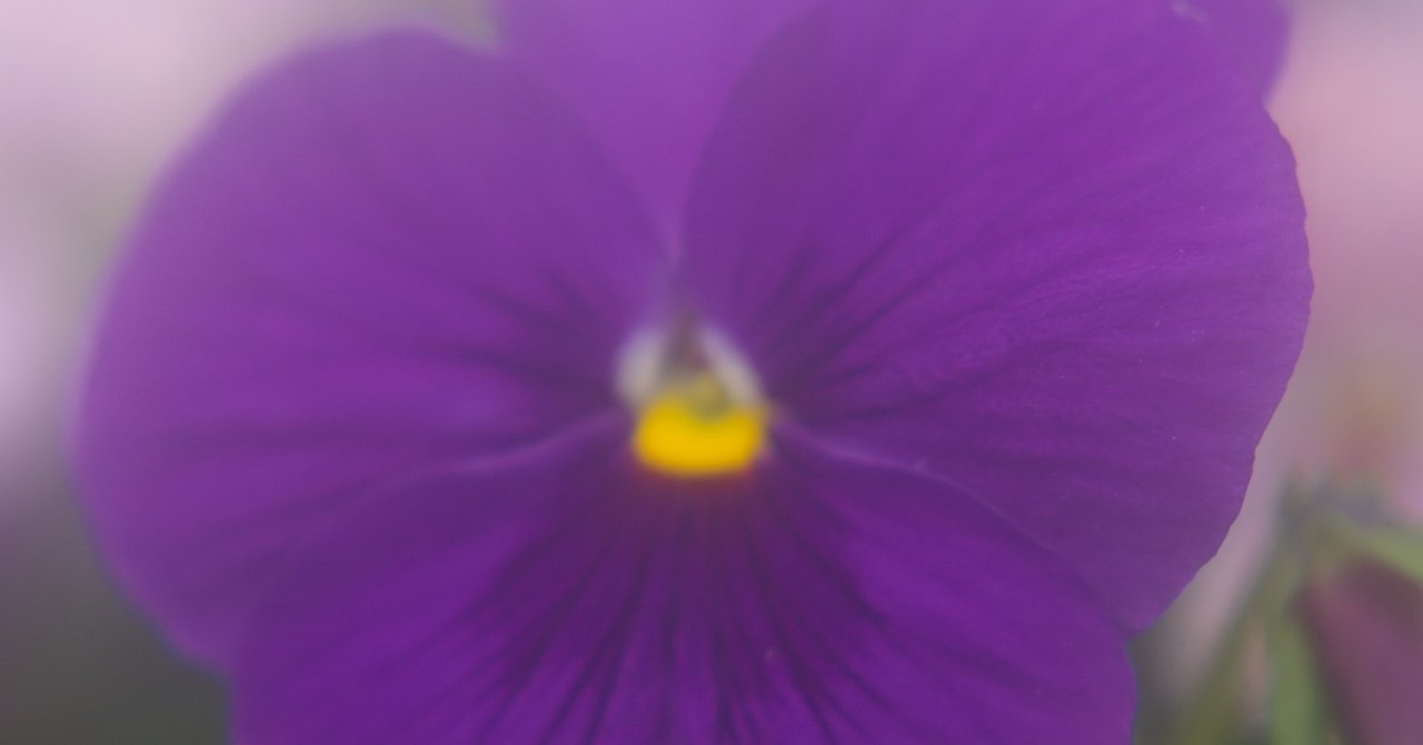 声。・。・。・｜Cosmic Suzu｜note