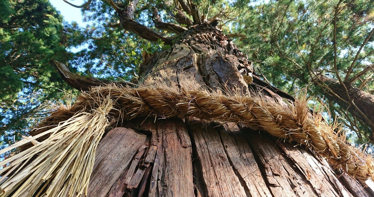 [Seoritsu Ruru]愛 自然が伝えてくれる｜(Linp&Ruru) 本当の自分を知り、本当の自分として生きる｜note