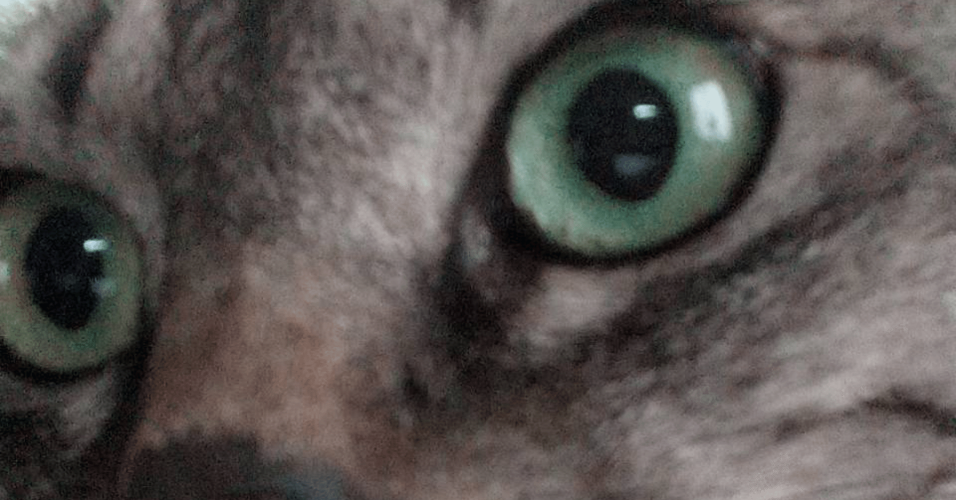 直木谷ヒトシ(Hitoshi NAOKIYA)｜note