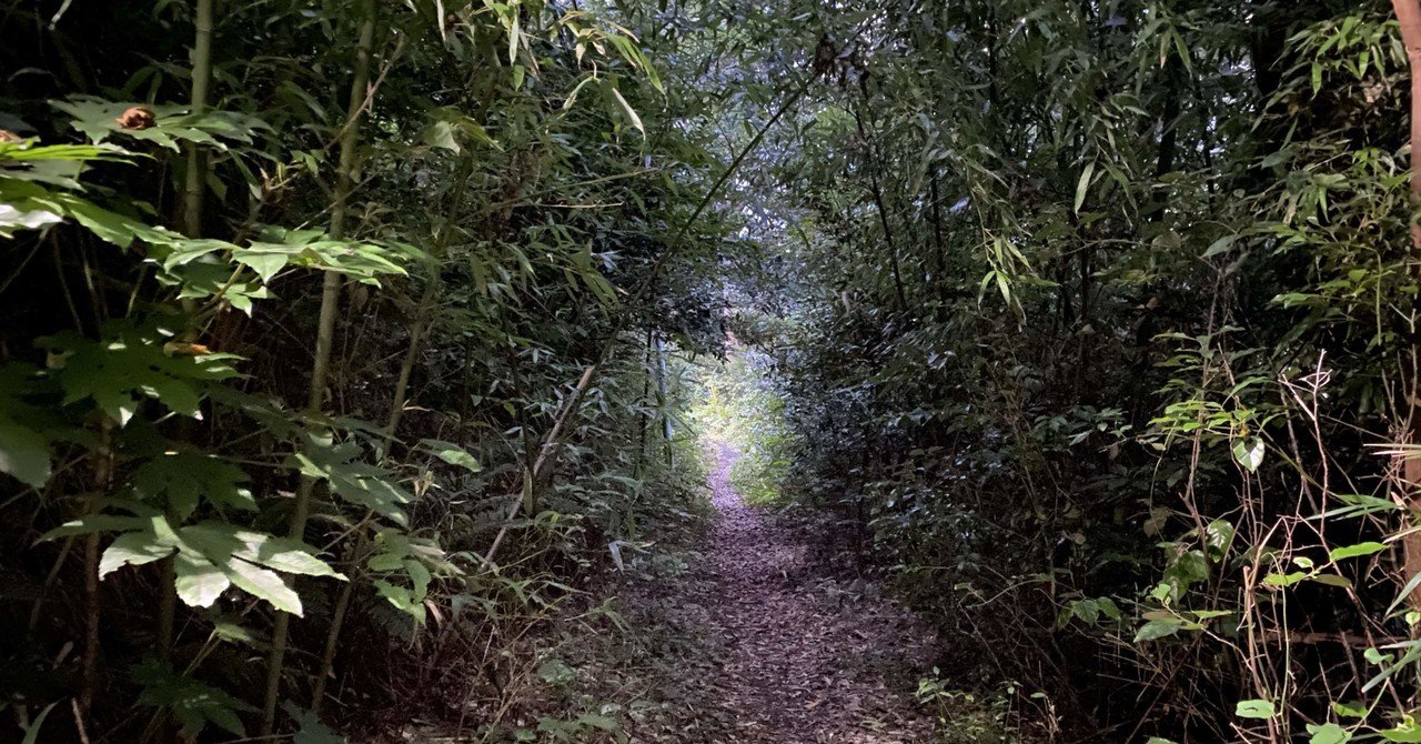 暮らしと健康を理解する｜観音美住cannobis｜note