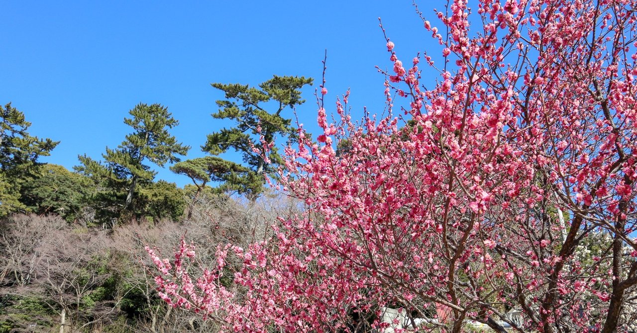 医療用器具として開発されたEnemagra(エネマグラ）｜Enemagra