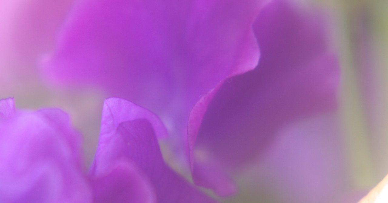 Reilua。・。・。・。・。｜Cosmic Suzu