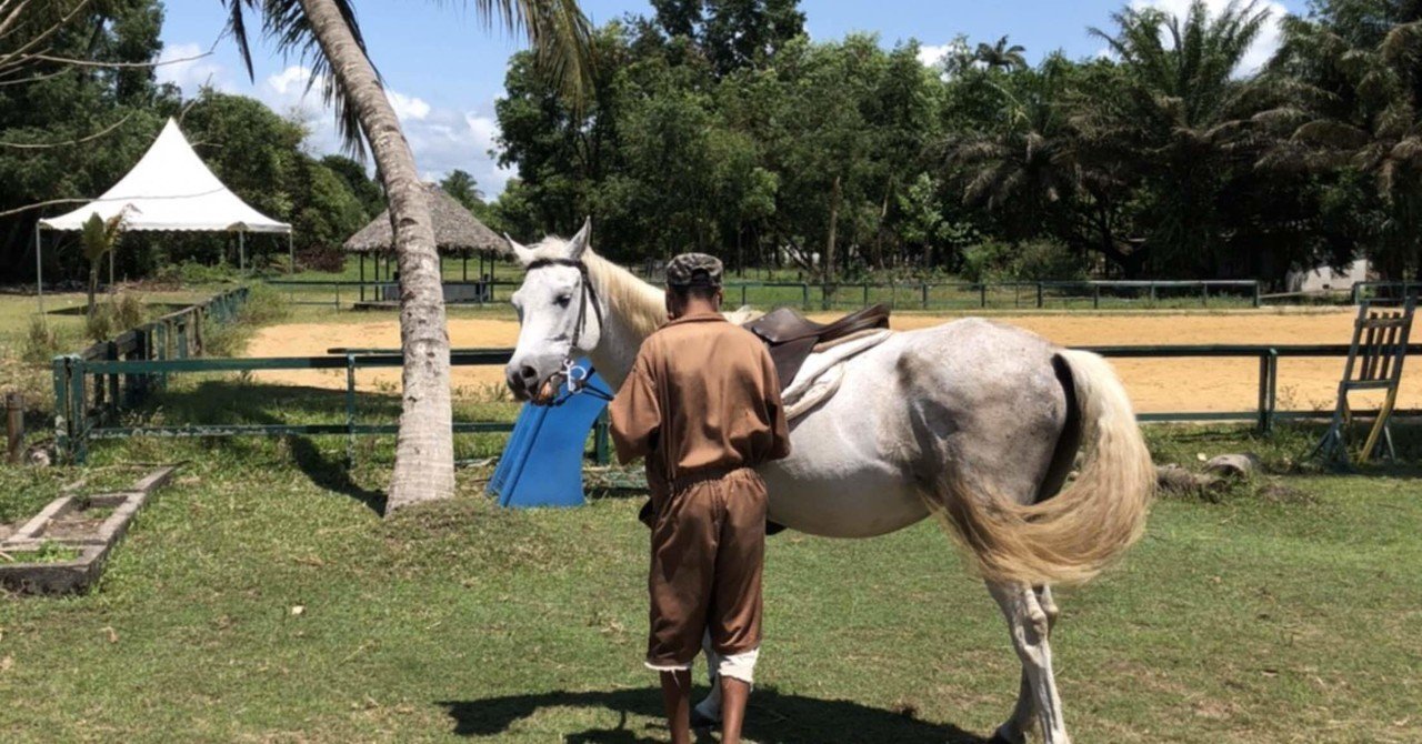 乗馬🐎｜AYAKO YOSHIDA