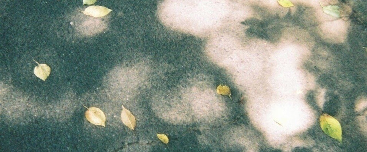 まいにち、まいにち｜saliy｜note