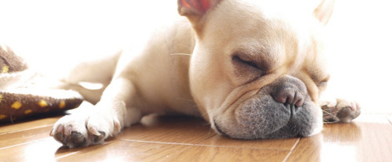 なぜ休めないのか？｜安藤 宏行/Hiroyuki Ando