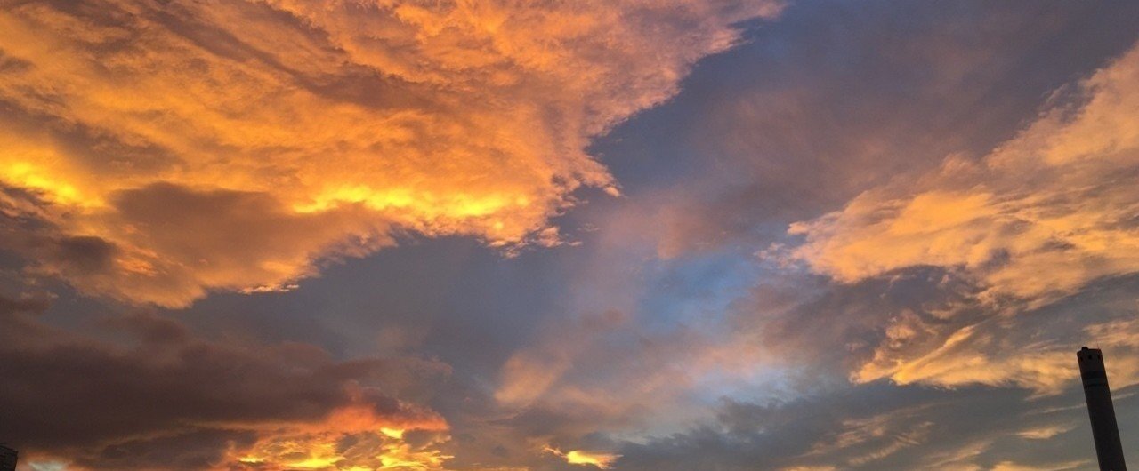 経過報告。｜misa aoyama｜note