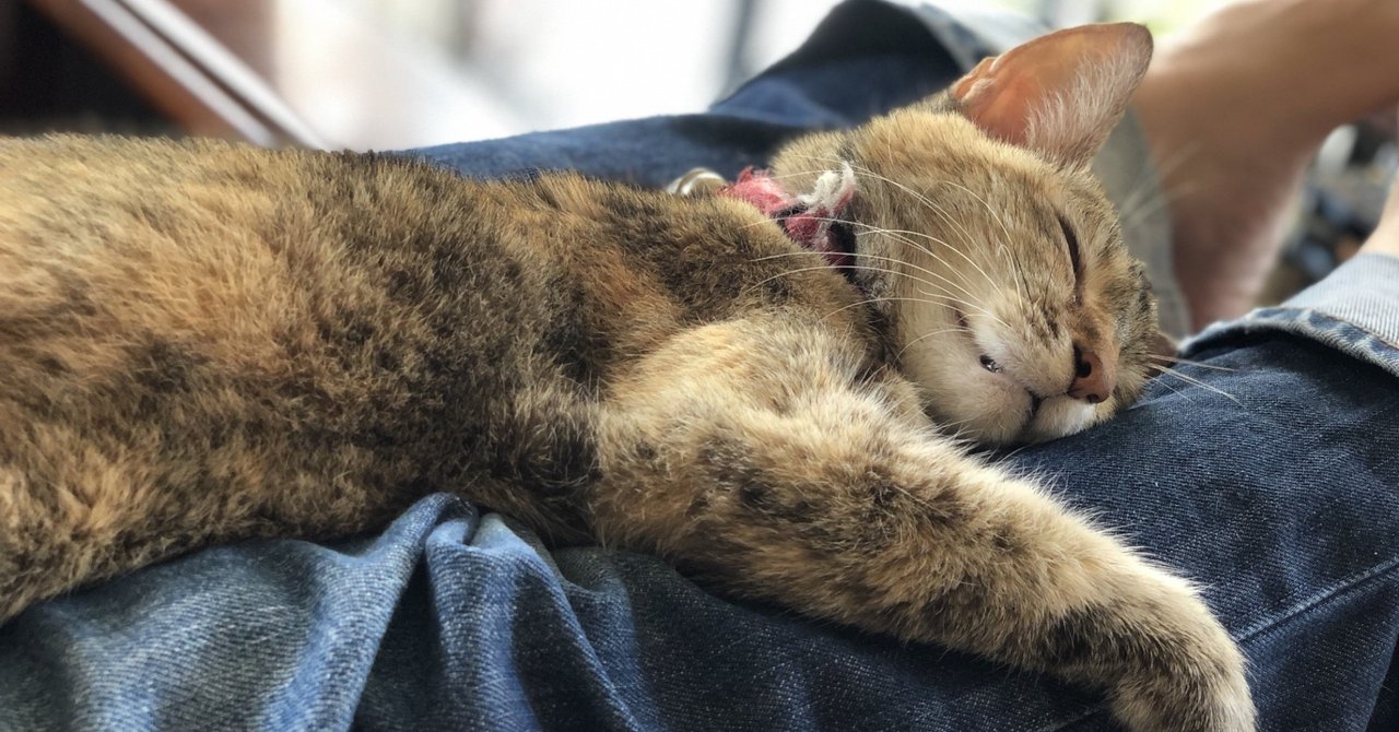 10/12(月)-10/18(日)の人気記事、不人気記事TOP3｜HJM｜note