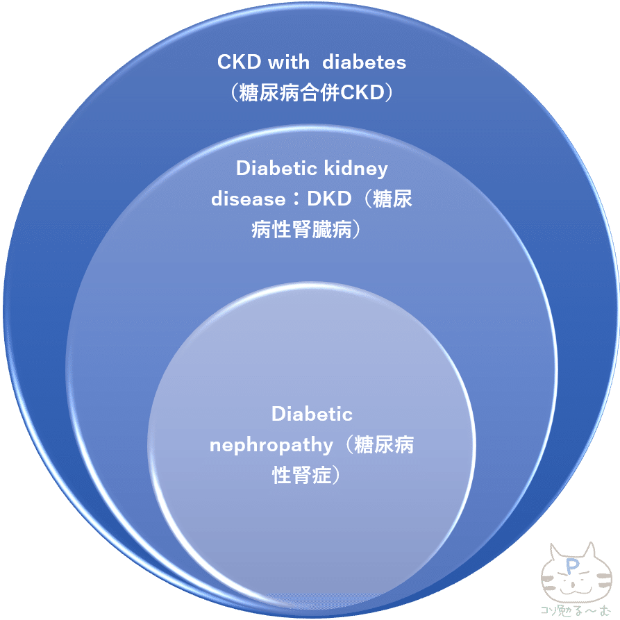 糖尿病性腎臓病DKDの概念【糖尿病性腎症DMNと違うの？】｜循環器Drぷー