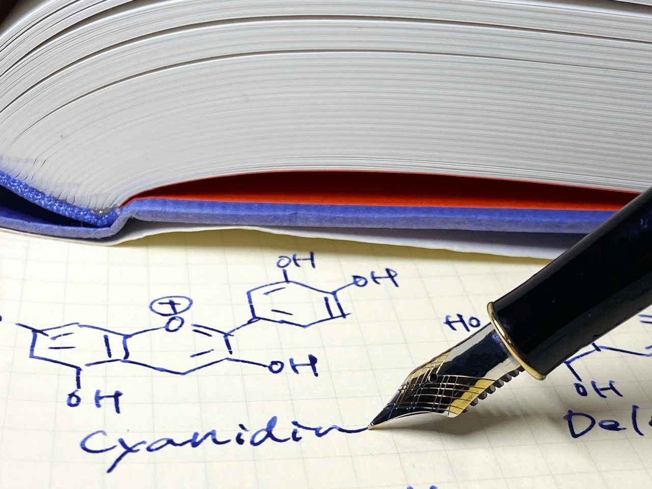 Writing｜INOUE Tomohiro