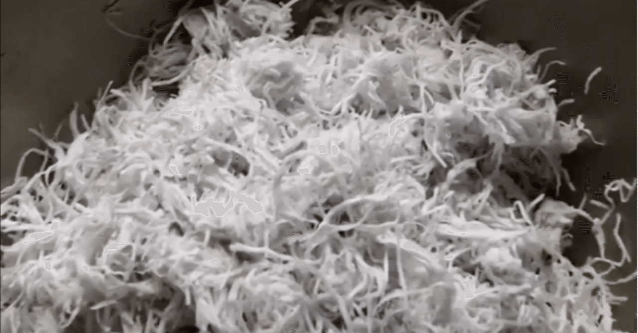 粘土か紙か｜Kumiko Ogi｜note