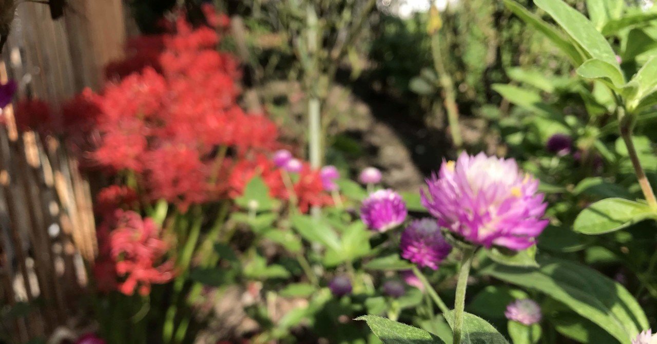 マザーテレサさんのこと。｜Wada Hiroko