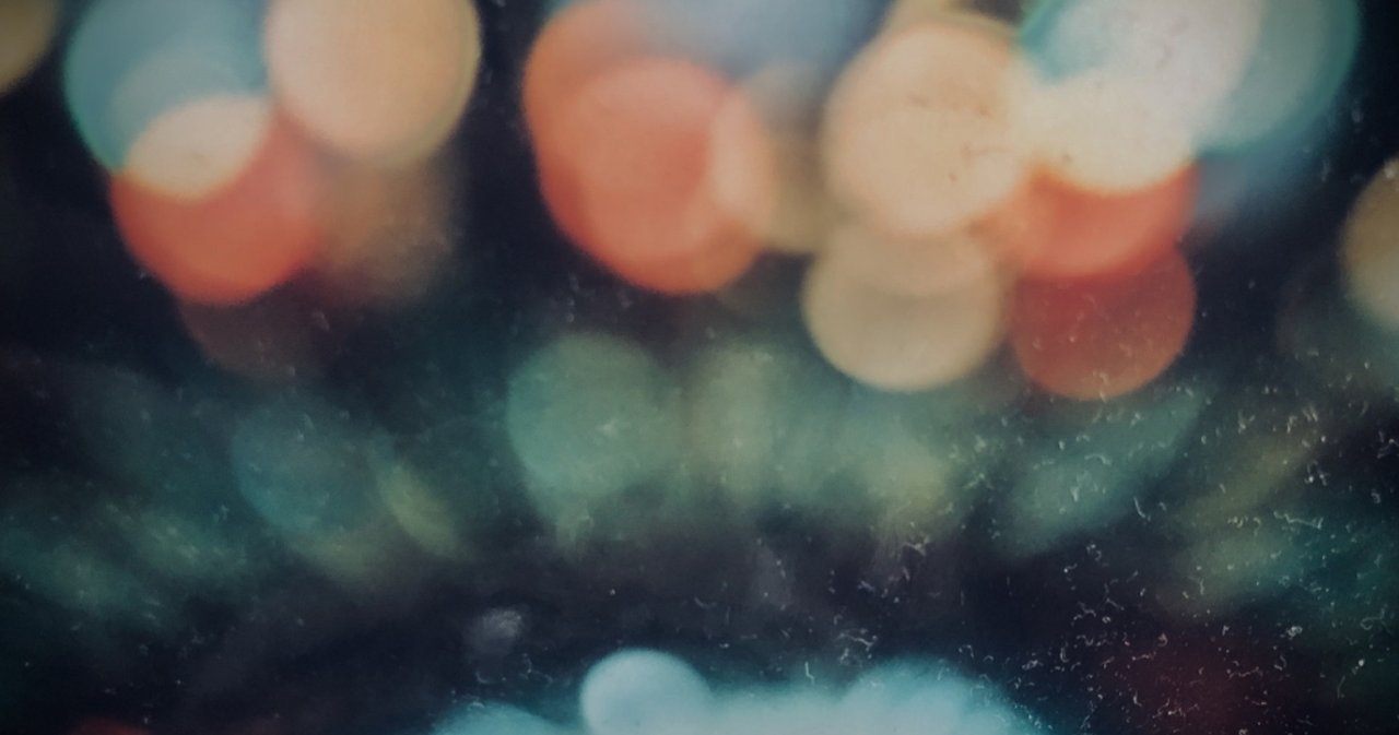 14. BT19 (5w3d) 胎嚢確認｜ねお